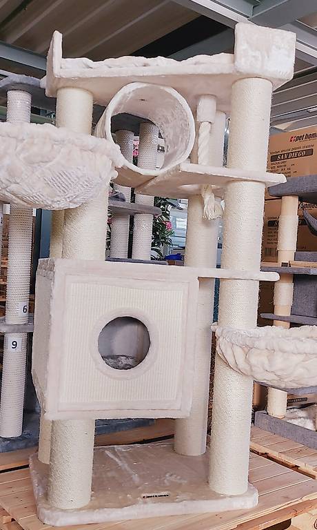 Katzenbaum Maine Coon top robuster Deluxe Kratzbaum im Kanton Luzern ...