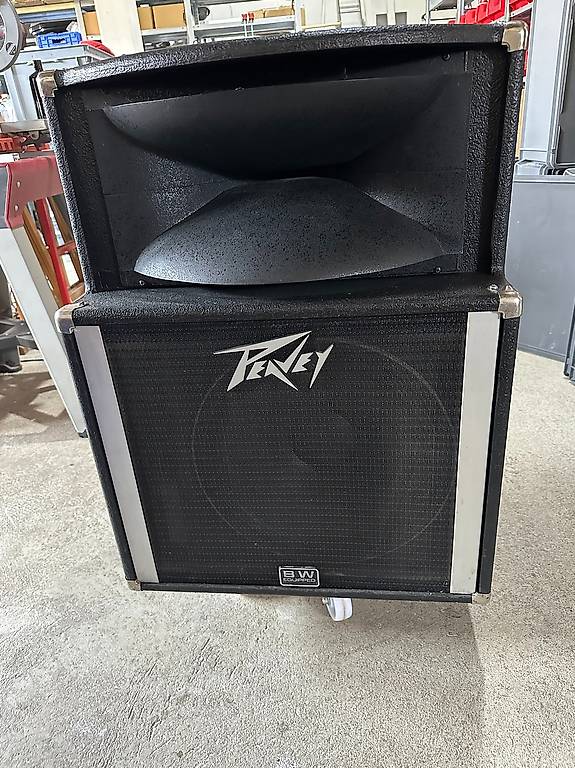 PEAVEY SP2 Vintage Lautsprecher restauriert im Kanton Zürich - tutti.ch