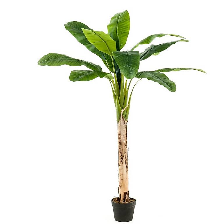 Künstlicher Bananenbaum im Topf 120 cm im Kanton Zug - tutti.ch
