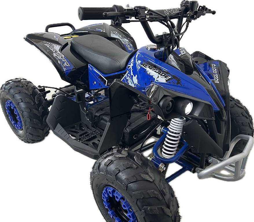 Cooler Elektro - Kinder - Quad 1200 Renegade XXL ATV im Kanton Luzern ...