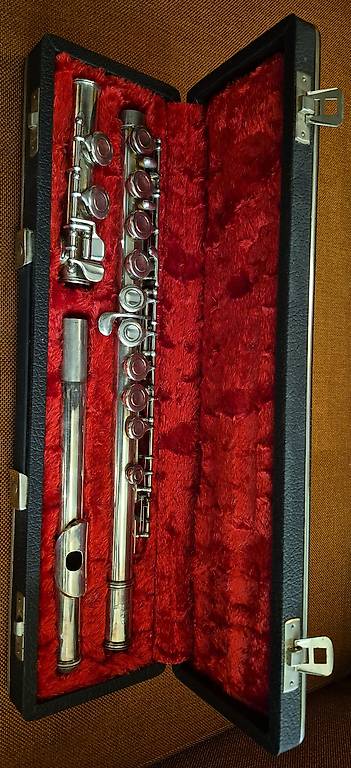 Flauto traverso in metallo Cantone Ticino - tutti.ch