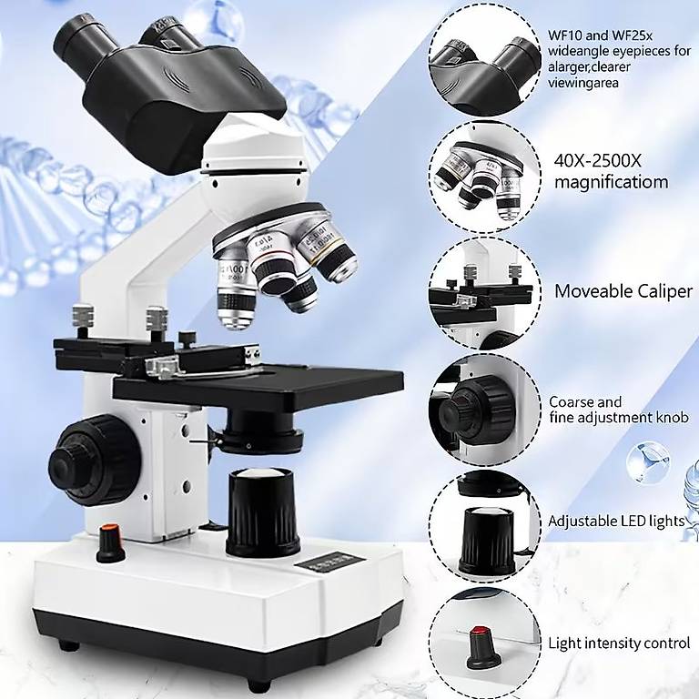 Optisches Binokularmikroskop mit vier Objektiven / Neu im Kanton ...