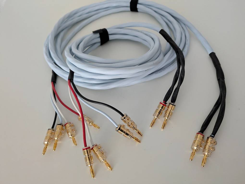 Audioquest LS-Kabel Bi-Wiring Bananas Gold weiss im Kanton Thurgau ...