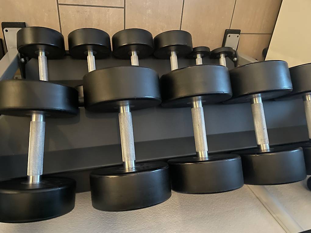 Panatta Dumbbell + Rack porta manubri im Kanton Tessin - tutti.ch