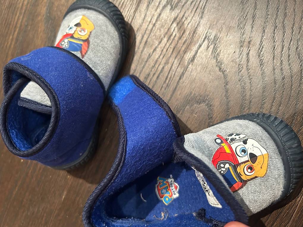 Paw Patrol Finken Gr. 23 im Kanton Bern - tutti.ch