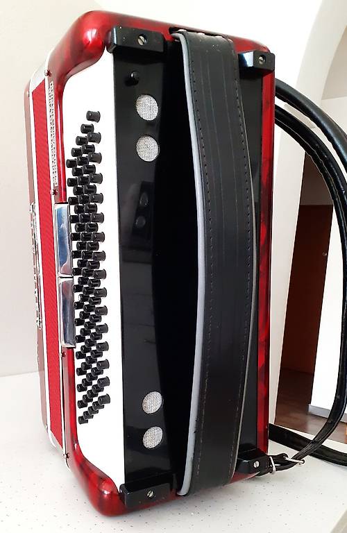 Fisarmonica EXCELSIOR 80 Bassi im Kanton Tessin - tutti.ch