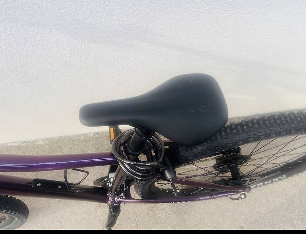 Contessa scott im Kanton Tessin - tutti.ch