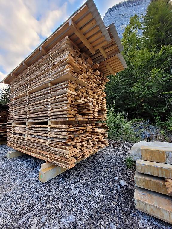 Arvenholz (Zirbe) / Klotzbretter, Täfer, Rundstäbe, Rundholz im Kanton ...