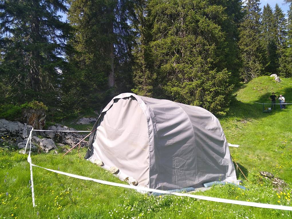 WeideZelt Zelt Pavillon im Kanton Uri - tutti.ch