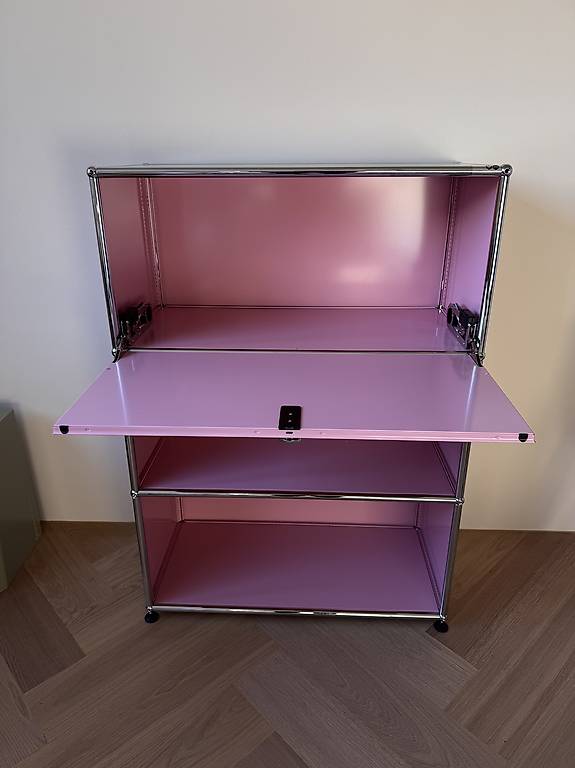 USM Haller Regal Sonderedition limitiert True Pink im Kanton Thurgau ...
