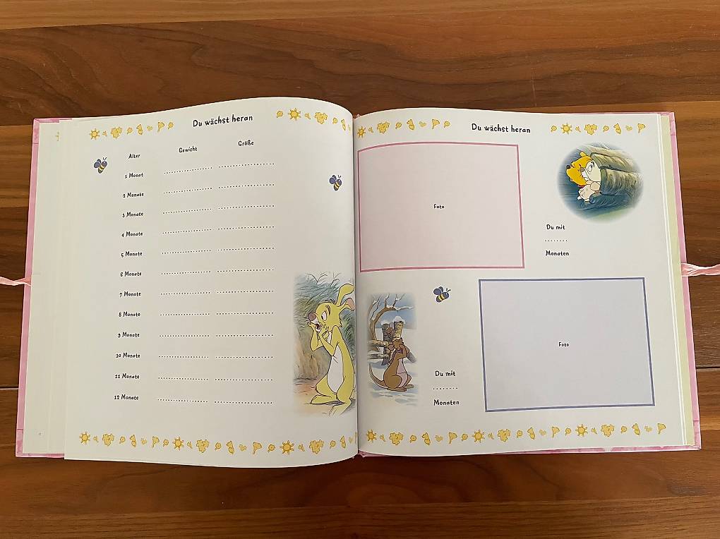 Baby Album mit Winnie the Pooh im Kanton Basel-Landschaft - tutti.ch