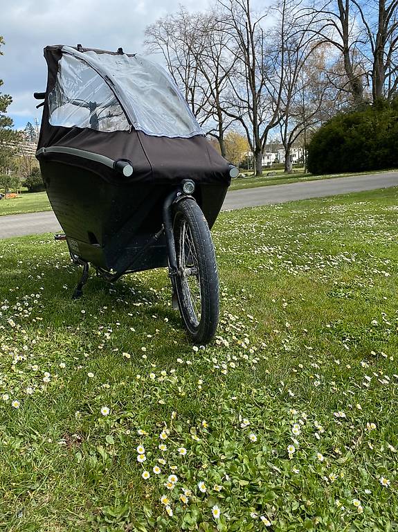 E-Bike-Cargo-Akku reicht für 220km-Mid Drive-8Gang-Sitzbank im Kanton ...