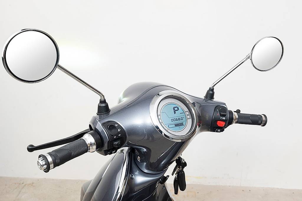 Vorführmodell Elektro Roller / E Scooter EFO country max im Kanton ...