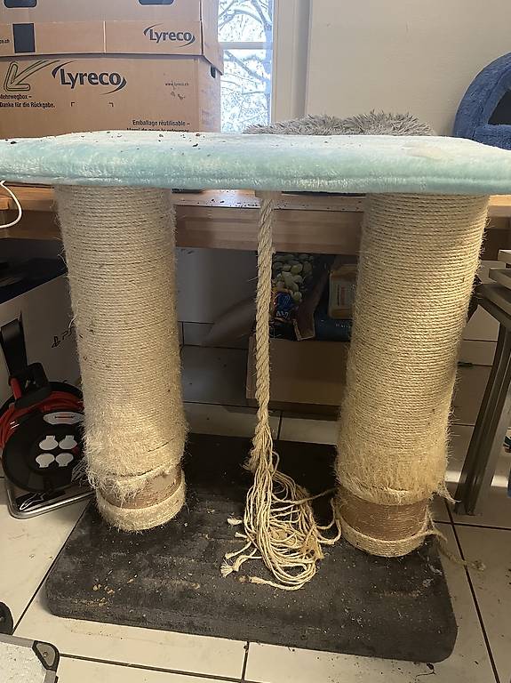 Katzenbaum gebraucht im Kanton St. Gallen - tutti.ch