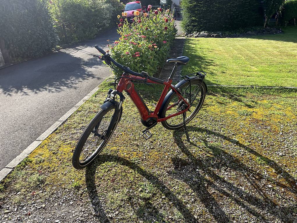 Focus Planet2 E-Bike Gr L mit Bosch Motor 625er Akku im Kanton Luzern ...
