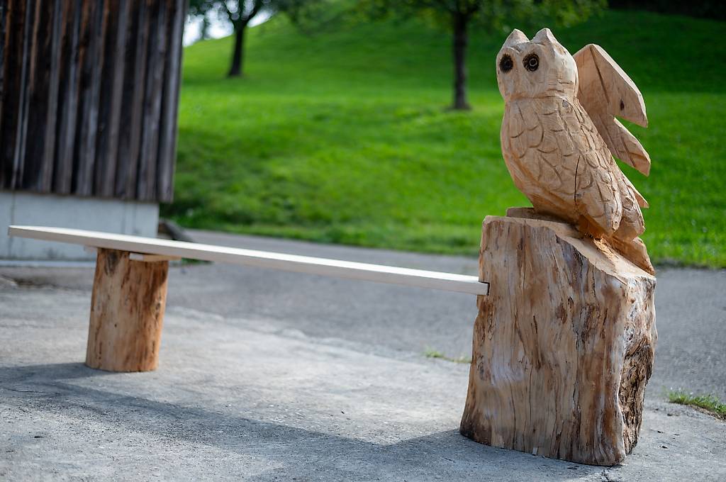 Massivholz Sitzbank mit Schnitzerei im Kanton St. Gallen - tutti.ch