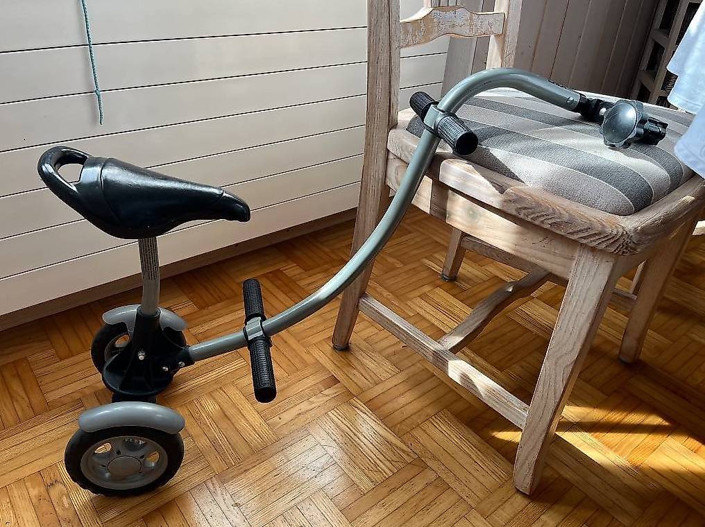 Ab nach Draussen mit dem Bibi Swiss Strolli Sitz Kiddyboard im Kanton ...