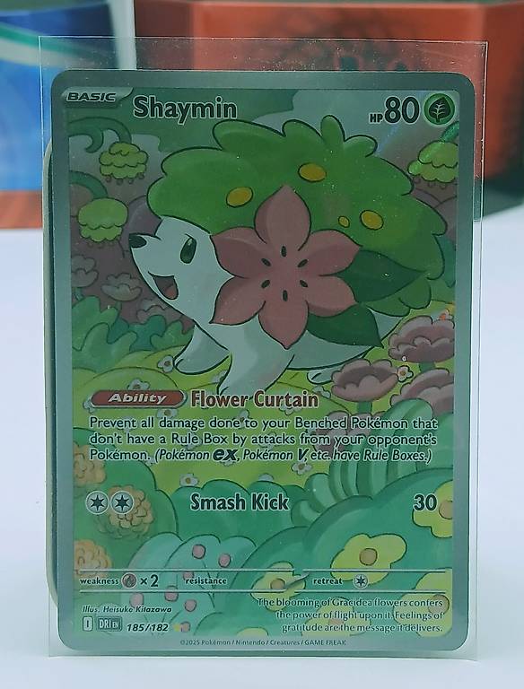 Pokemon Karte Team Rocket Archer 223/182 Destined Rivals im Kanton ...