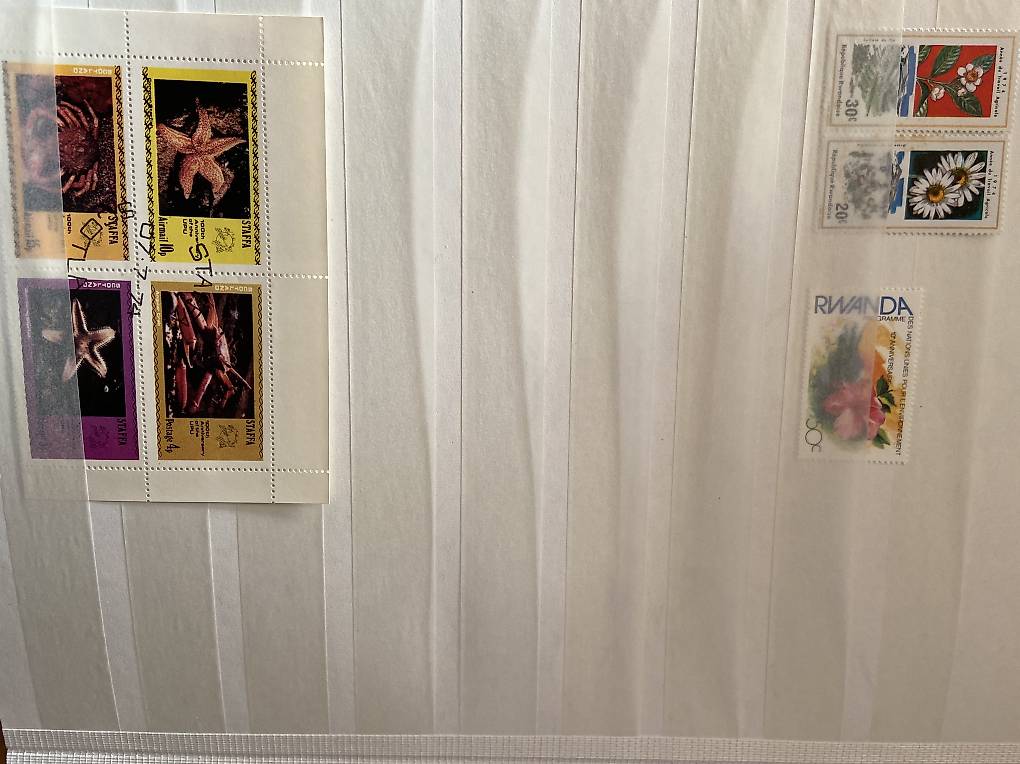 Briefmarkensammlung Europa und andere Kontinente im Kanton Zürich ...