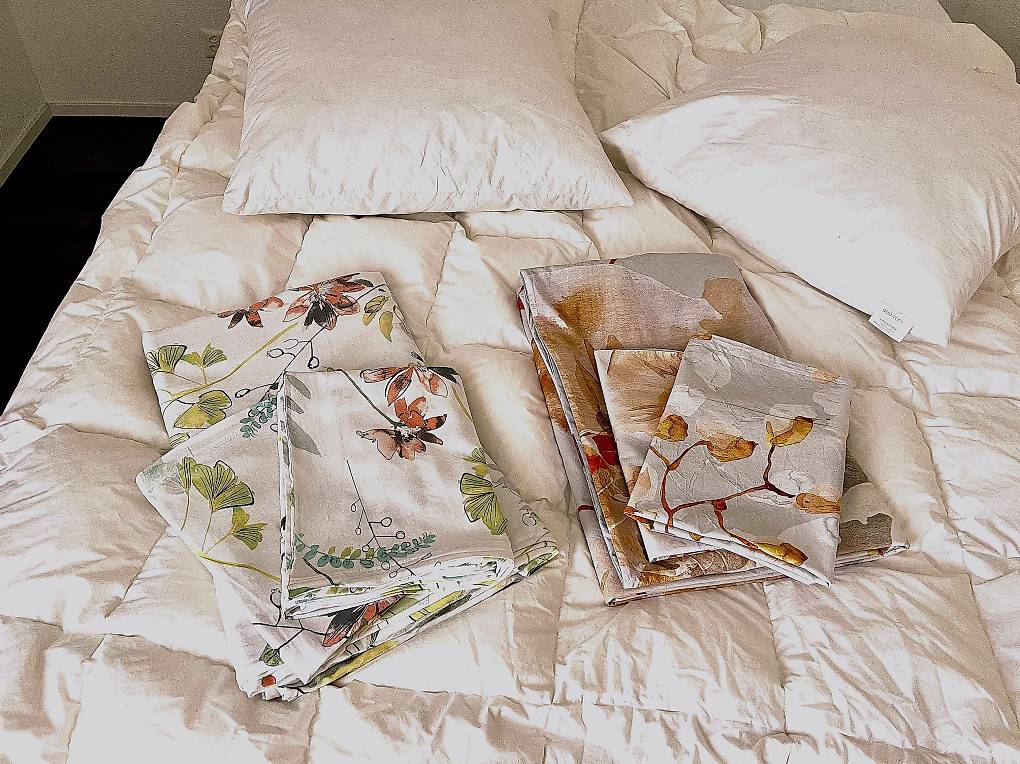 Neues Duvet 210x200, 2 Kissen 65x65, 2 Bezüge, Livique im Kanton Bern ...