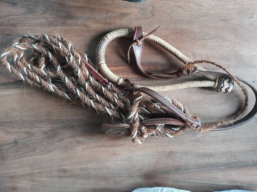Bosal und Mecate im Kanton Wallis - tutti.ch