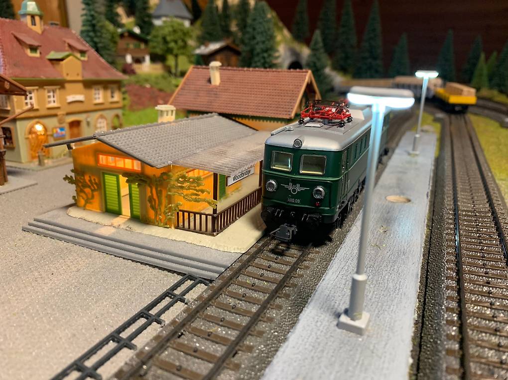 Modelleisenbahn Roco Rh 1010 der ÖBB AC digital im Kanton Thurgau ...