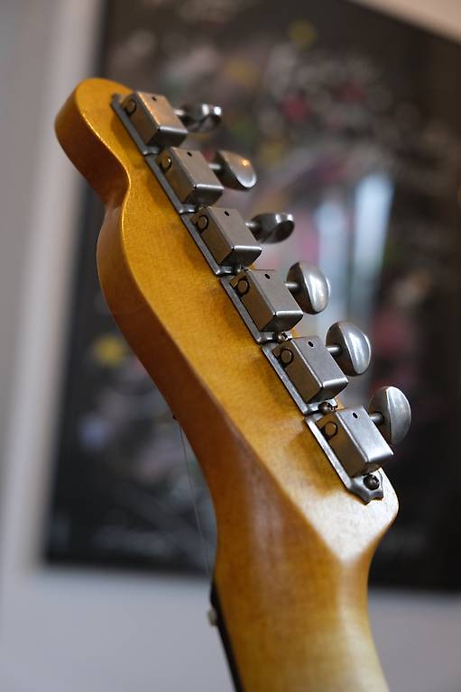 Sachocaster No7 2026 T-Style Guitar im Kanton Zürich - tutti.ch