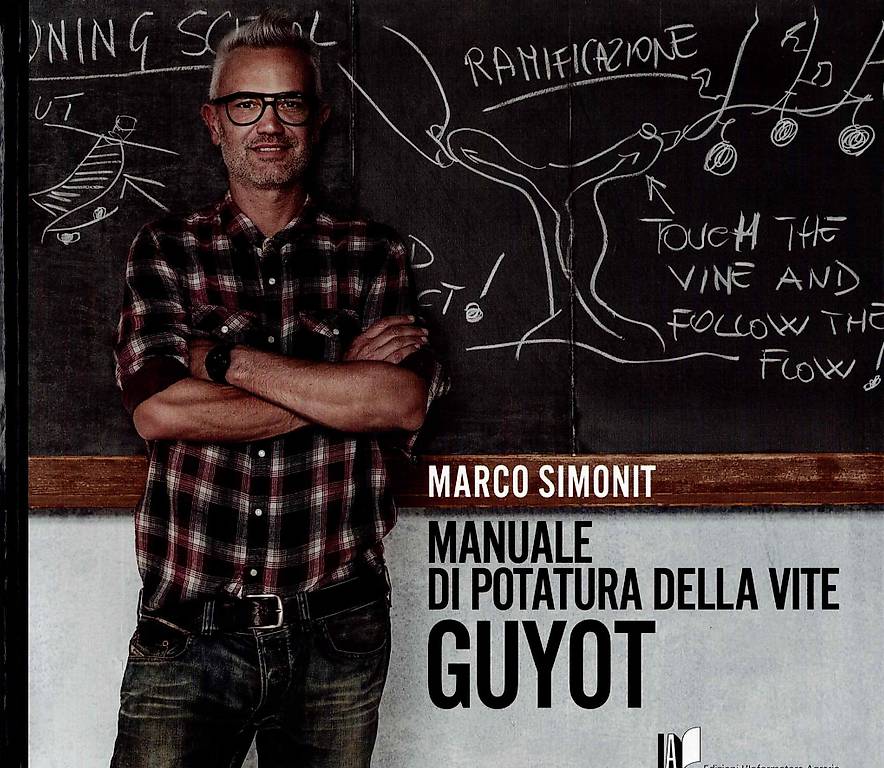 Marco Simonit: Potatura della vite Guyot im Kanton Thurgau - tutti.ch