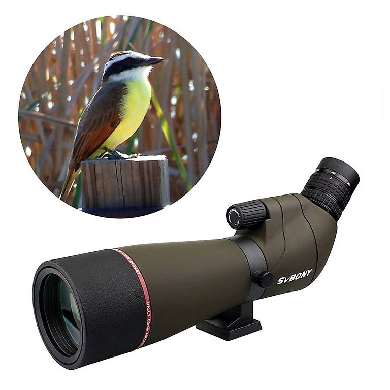 SVBONY SV13 Spektiv 20-60x65 Zoom Teleskop MC Prisma im Kanton Graubünden - tutti.ch