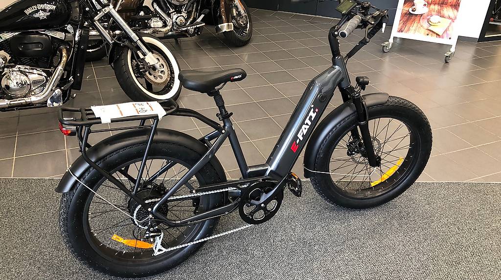E-FATI GU: Das ultimative E-Fatbike-Erlebnis! Canton Berne - tutti.ch