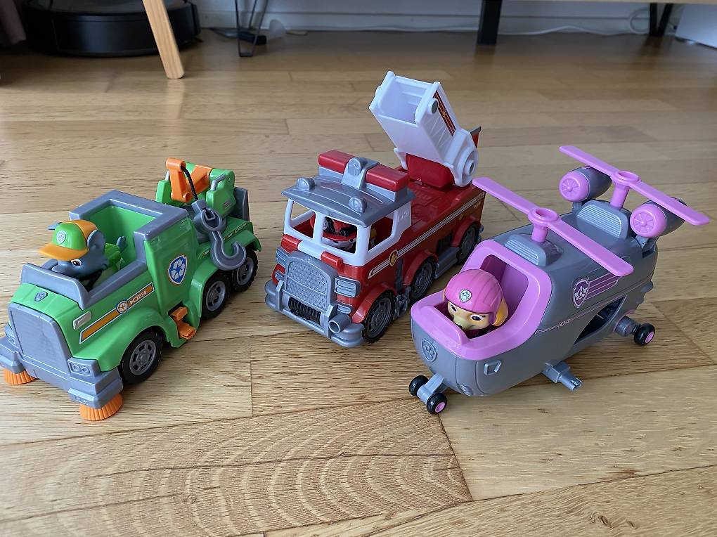 Paw Patrol im Kanton Bern - tutti.ch