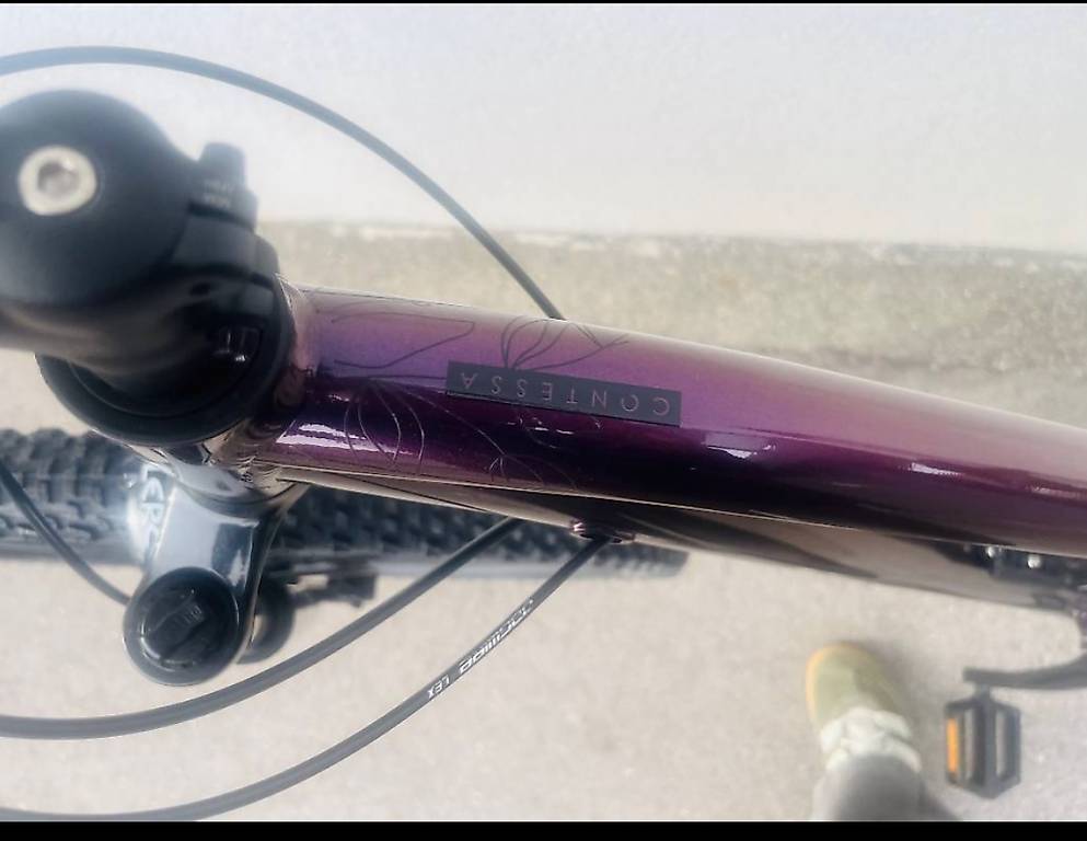 Contessa scott im Kanton Tessin - tutti.ch