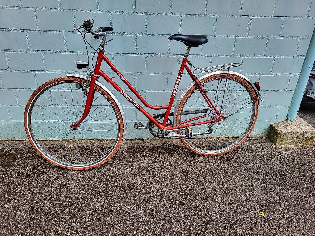 Damen Velo Euroteam Racing Rot im Kanton Basel-Landschaft - tutti.ch