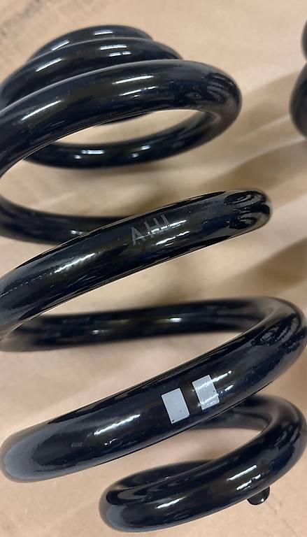 HinterachsFedern VW T5/T6/T6.1 (7J0511115E) Canton Thurgovie - tutti.ch