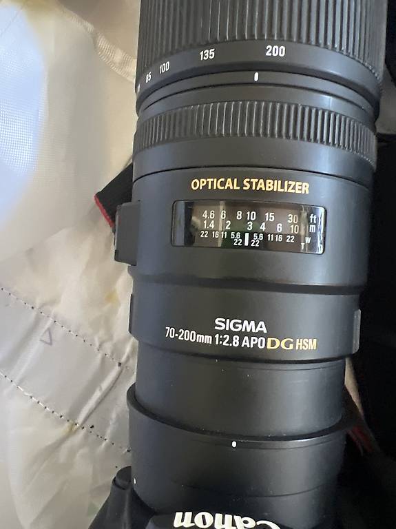 Sigma 70?200mm f/2.8 APO DG HSM OS ? Canon-Mount im Kanton Zürich ...
