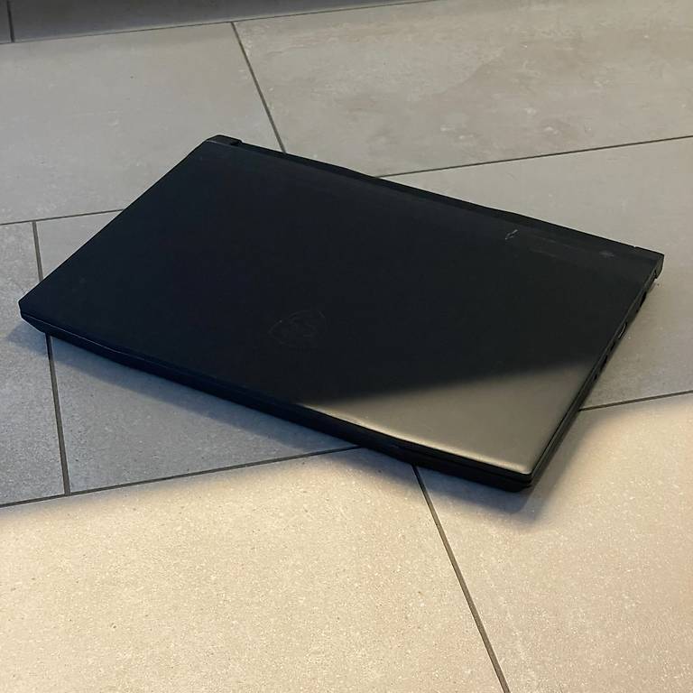 MSI Gaming-Laptop i7-11700H / RTX 3060 / 16GB RAM / 1TB SSD im Kanton ...