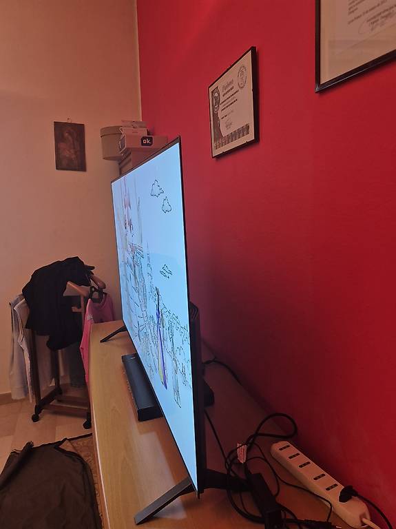 TV lg 55 police Canton Tessin - tutti.ch