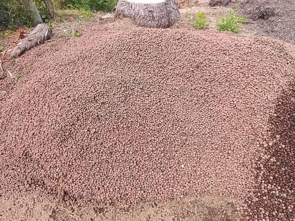 Leca Kugeln / Blähton im Kanton St. Gallen - tutti.ch