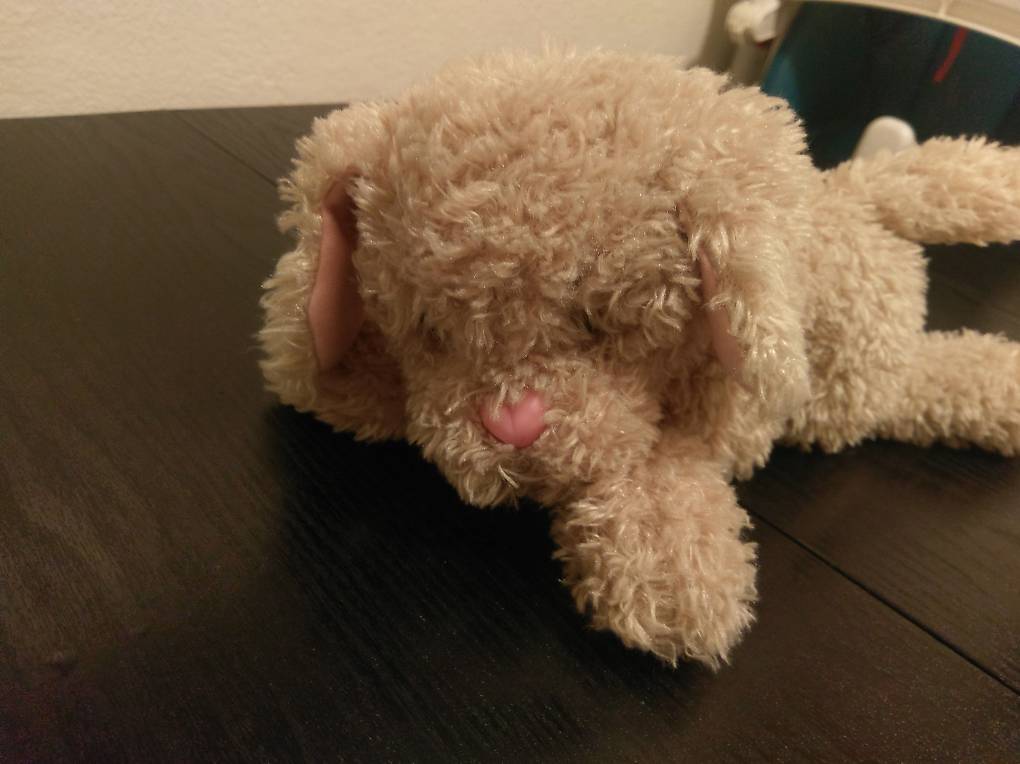 Gute Nacht Schnuffel, Plüschtier im Kanton St. Gallen - tutti.ch