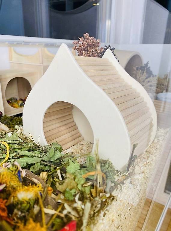 Hamster Versteck Taj Mahal im Kanton Thurgau - tutti.ch