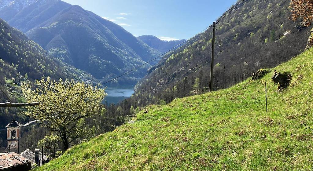 Rustico zum Ausbauen mit herrlicher Aussicht / bella vista Canton ...