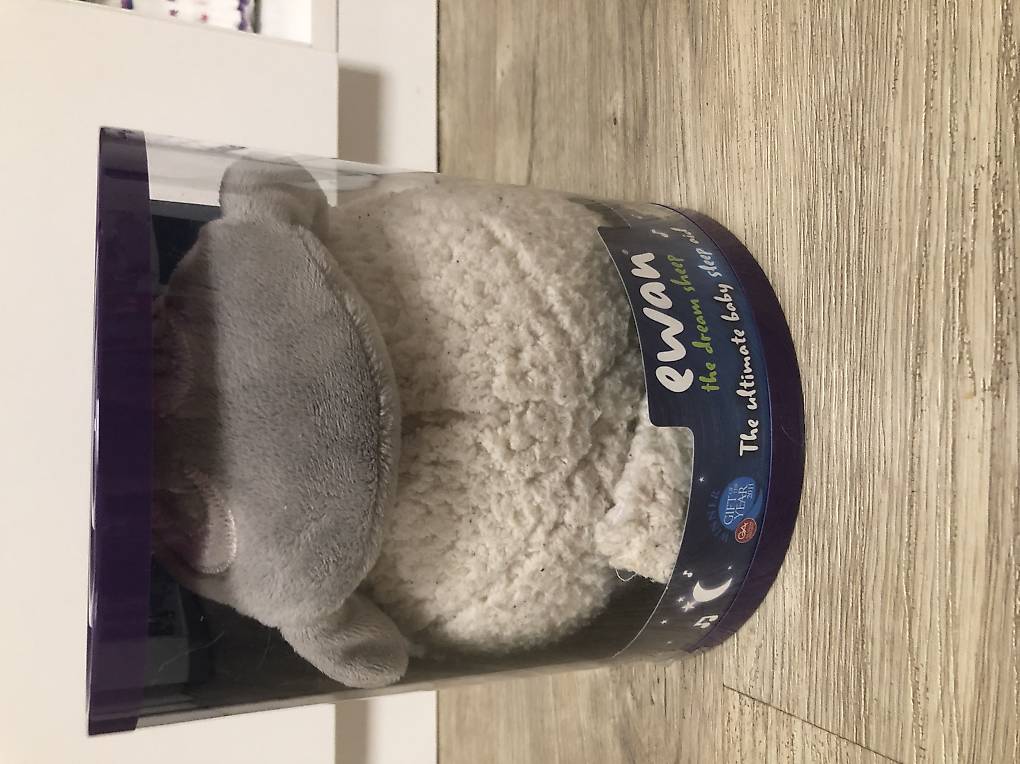 Evan das Teaumschaf im Kanton Thurgau - tutti.ch