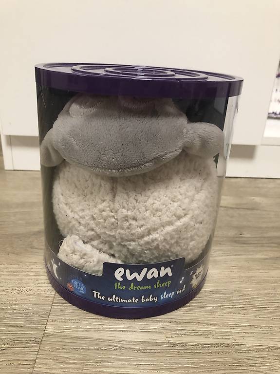 Evan das Teaumschaf im Kanton Thurgau - tutti.ch