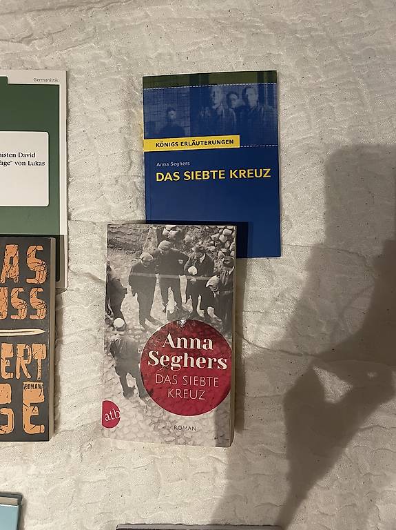 Buch Das Siebte Kreuz von Anna Seghers inkl. Erläuterung im Kanton Bern ...