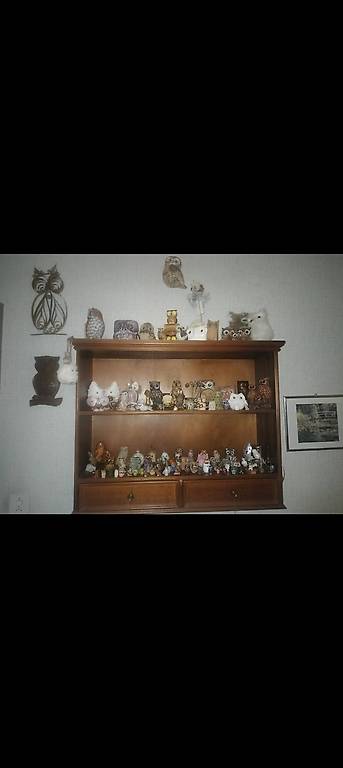 Sammelobjekte im Kanton Bern - tutti.ch