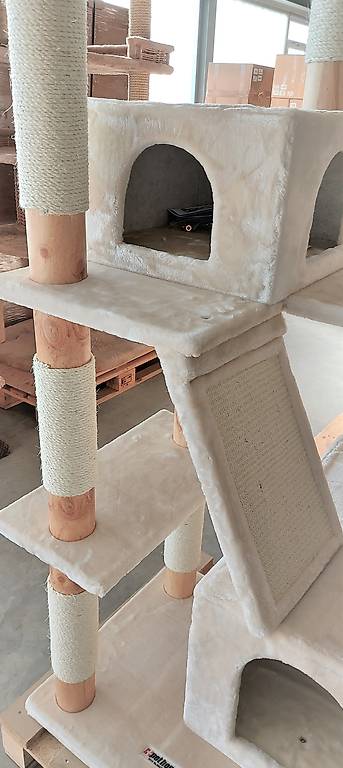 MASSIVHOLZ KATZENBAUM HOLZ KRATZBAUM TOP QUALITÄT NEU Cantone Zurigo ...