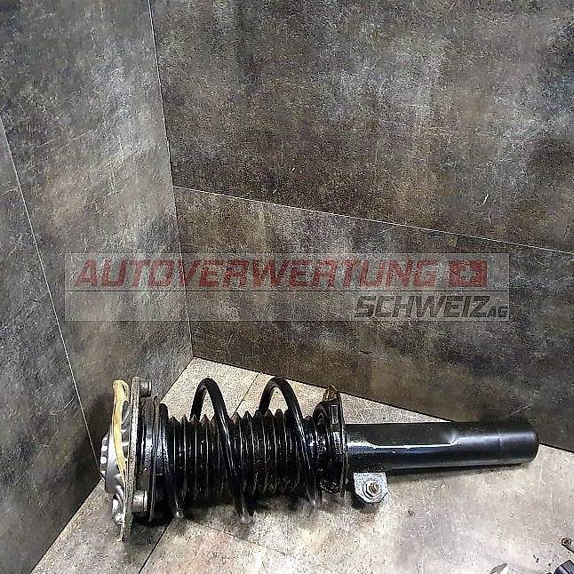 31316852417-06 FEDERBEIN VORNE LINKS MINI COOPER S F55 im Kanton Bern ...