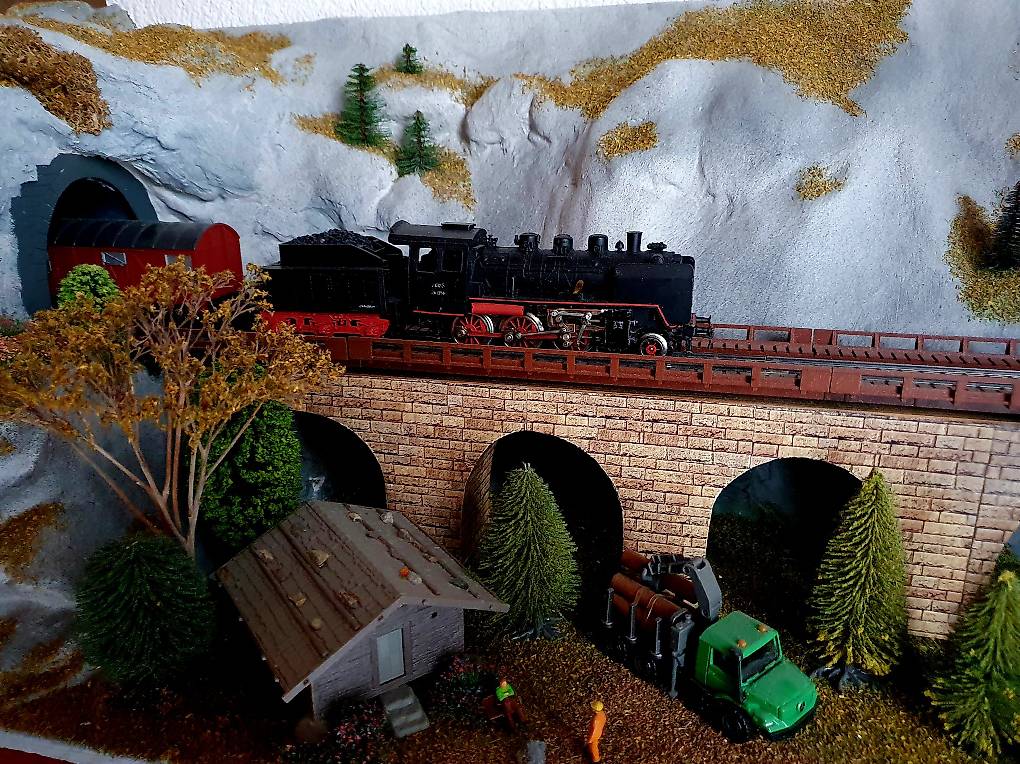 Diorama H0 Bergwelt im Kanton Thurgau - tutti.ch