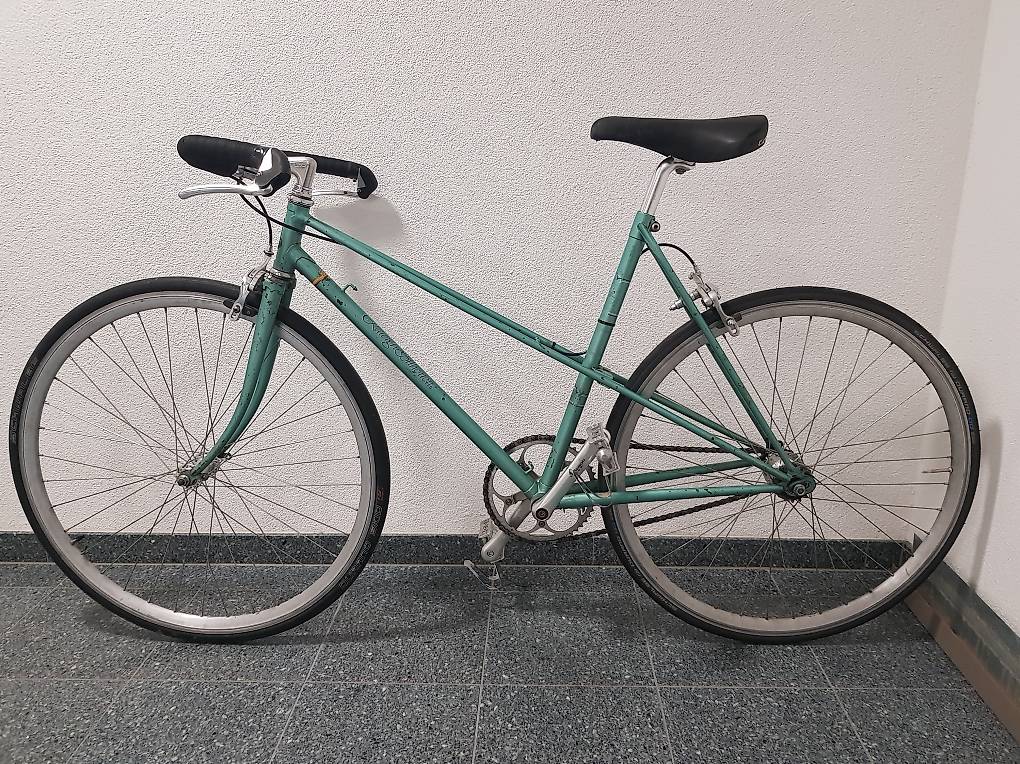 Raleigh Silhouette singlespeed/fixie (retro, vintage) im Kanton Zürich ...