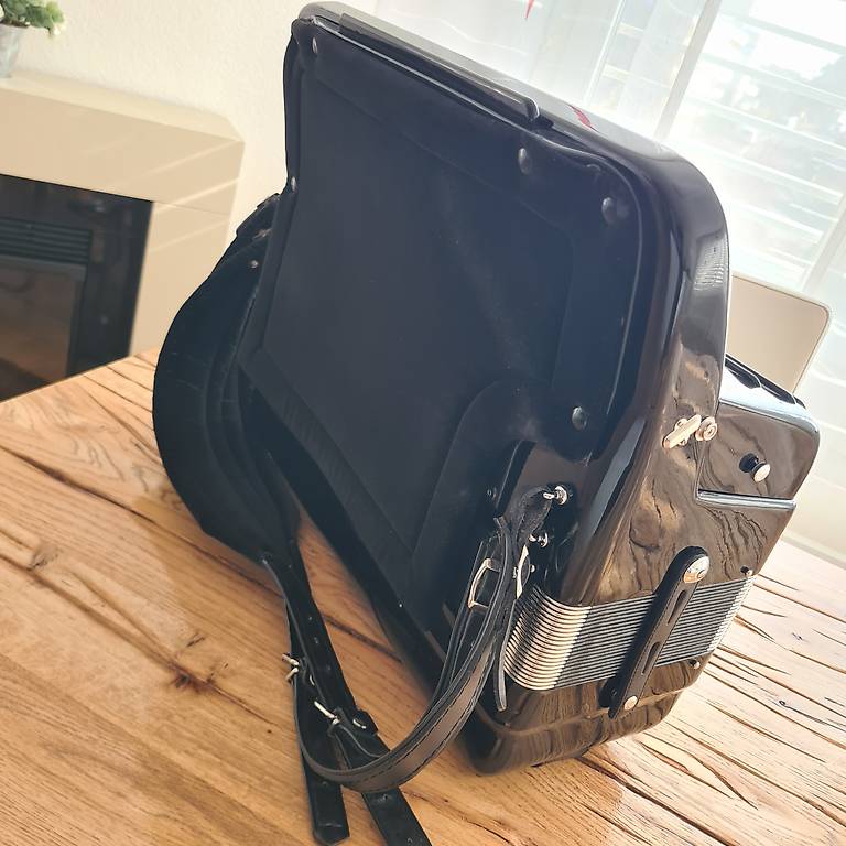 Akkordeon Bugari Armando Champion Cassotto im Kanton St. Gallen - tutti.ch